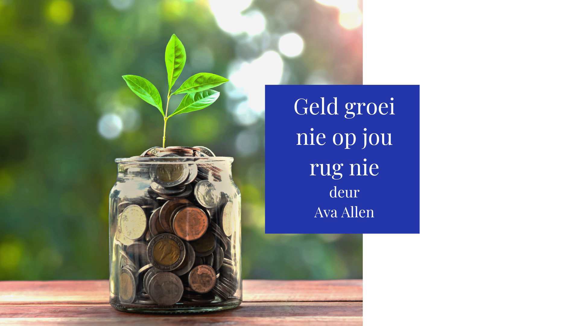 Geld groei nie
